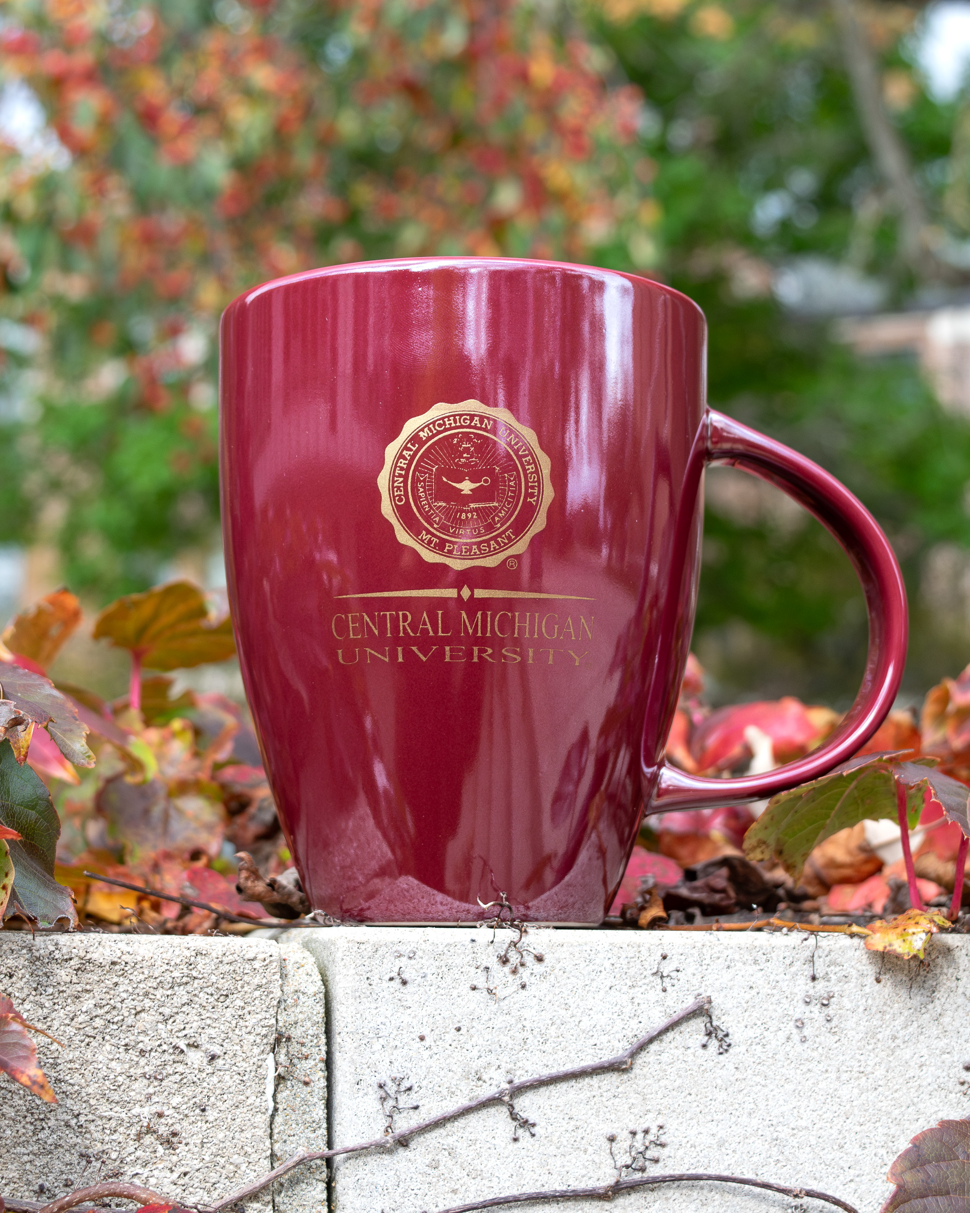 Central Michigan University Seal Maroon Luster Mug | The CMU Bookstore