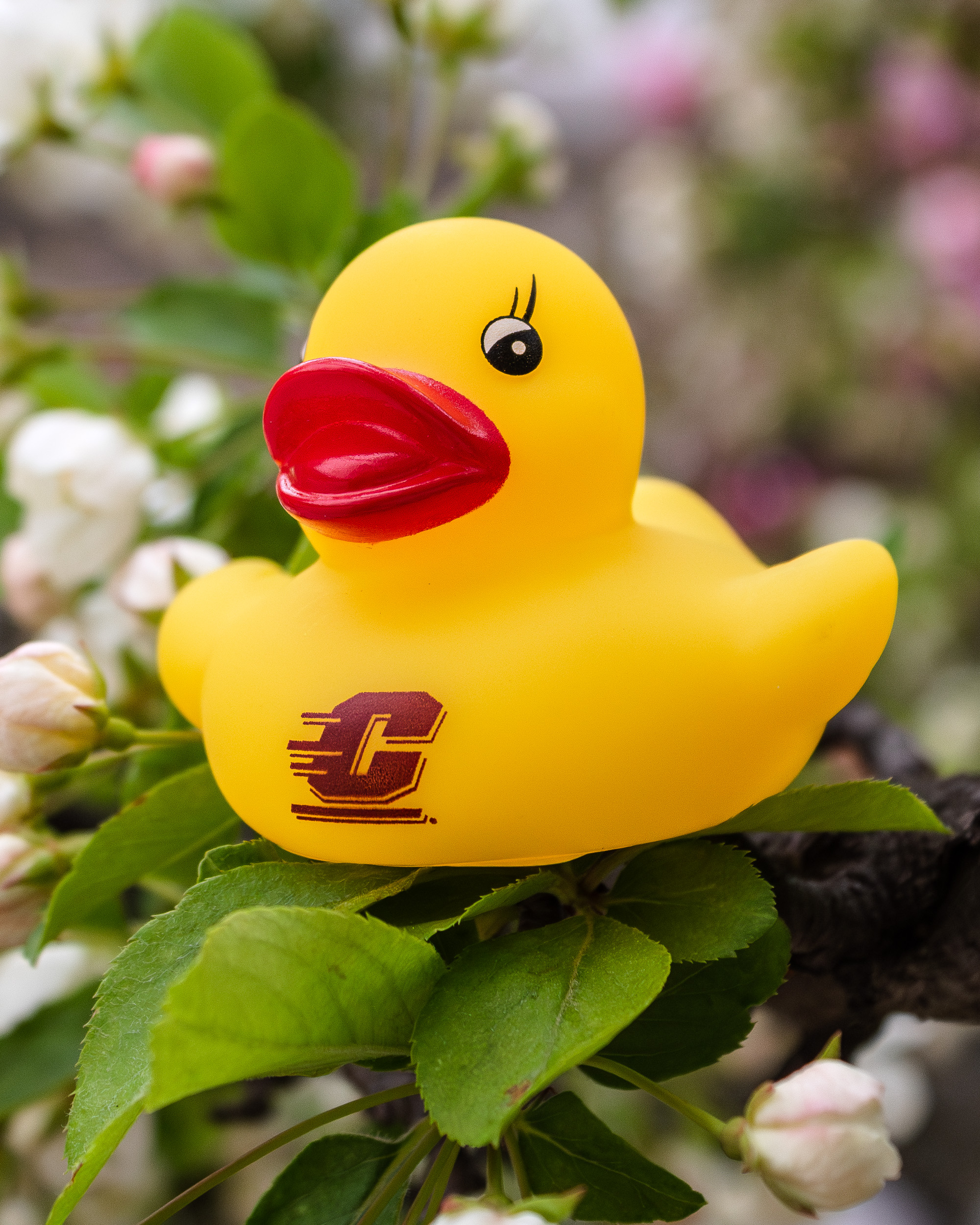 Action C Yellow Rubber Duck | The CMU Bookstore